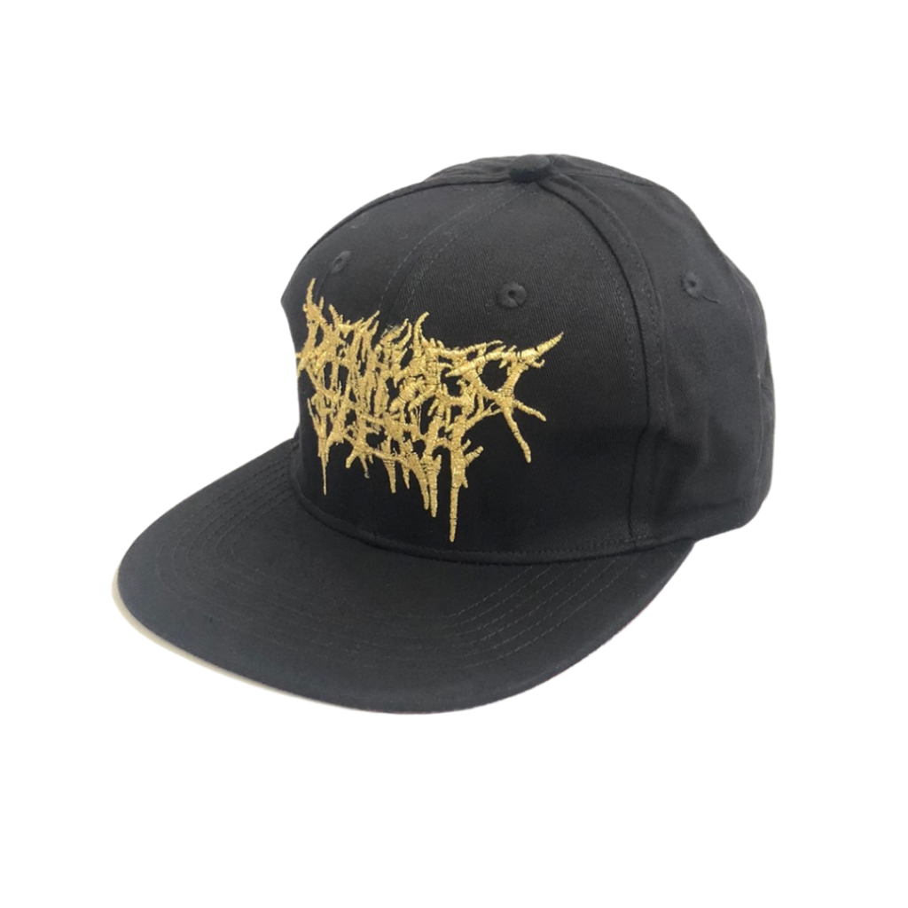 DECAYED FLESH Snapback Cap: Dark And Black | AREA-23