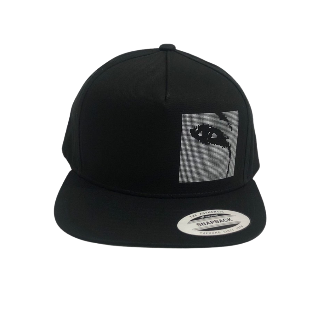 DEFTONES Snapback Cap: Ohms – AREA-23